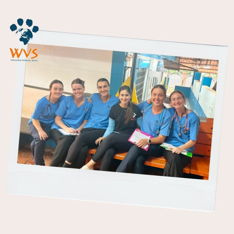 Saaniya Chandhok Biography – Arjun Tendulkar’s Fiancée